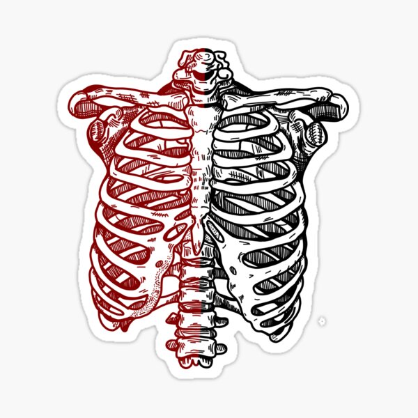 "Rib cage " Sticker by sporkswa | Redbubble