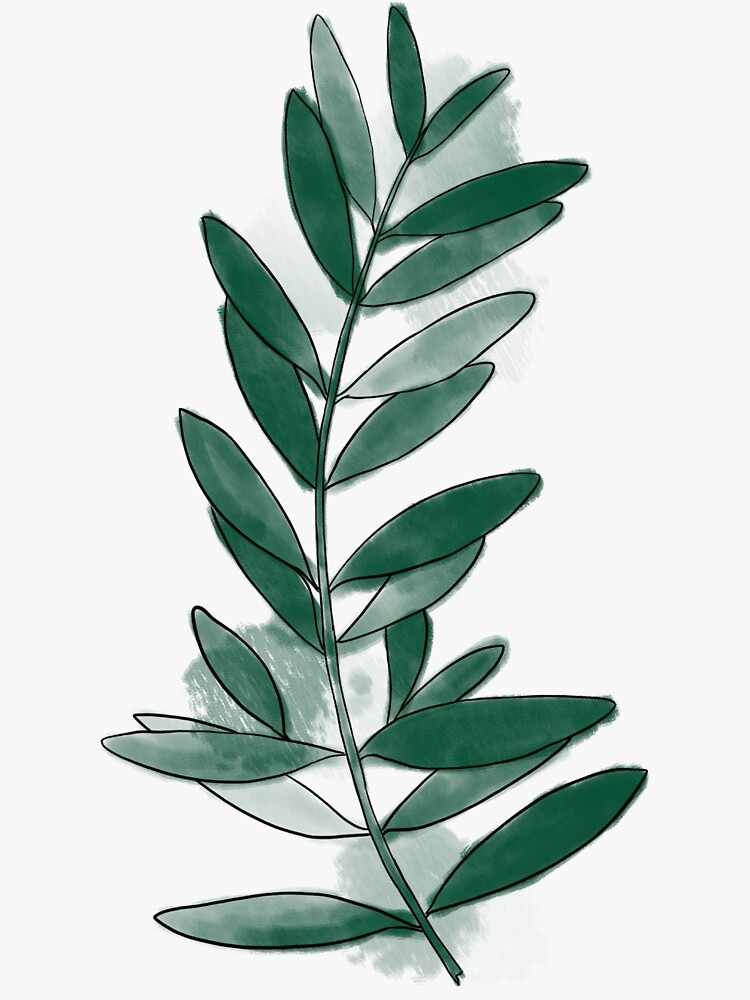 "Olive Branch" Sticker for Sale by jenessink | Redbubble