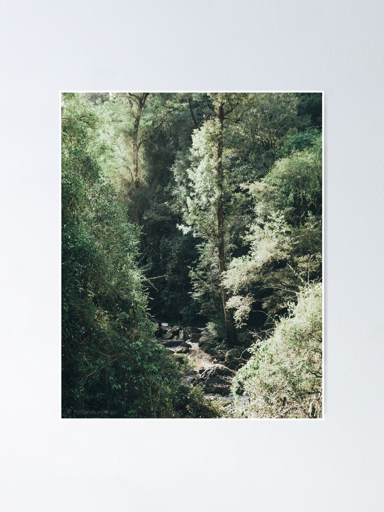 "A beautiful little scene while out bushwalking" Poster by ...