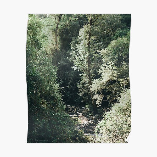 "A beautiful little scene while out bushwalking" Poster by ...