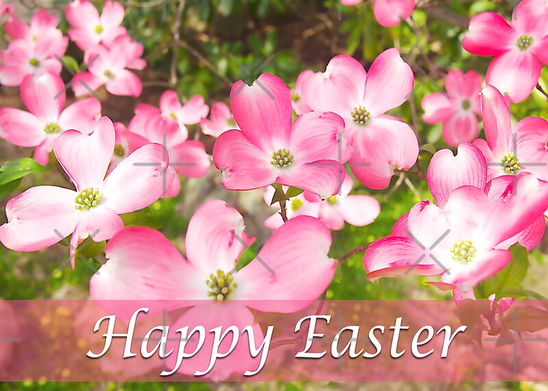 "Happy Easter Pink Flower Dogwood Tree" Greeting Cards by daphsam ...