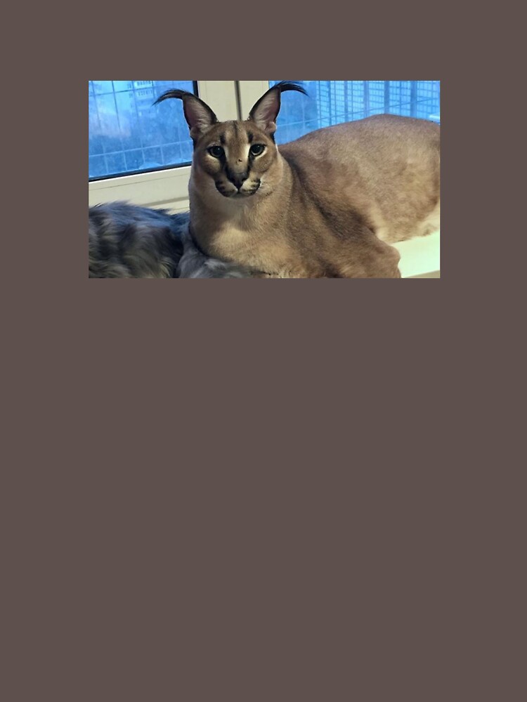 "Gregory Floppa" T-shirt for Sale by TheIllusiveTaco | Redbubble ...