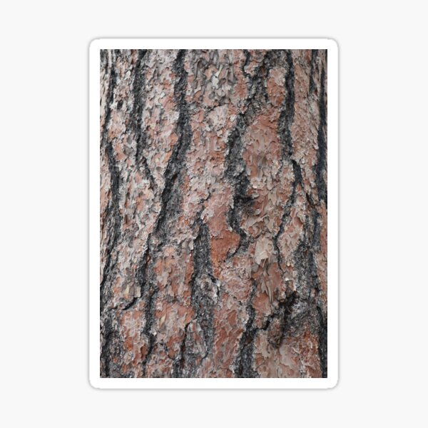 "Ponderosa Pine Bark" Sticker by winkwinkink | Redbubble