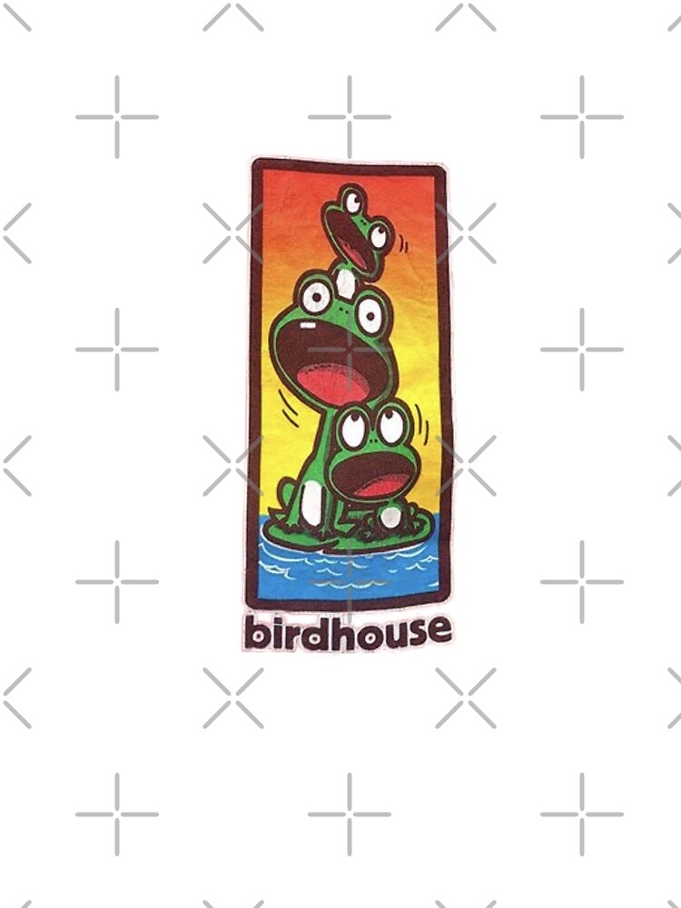 "Vintage Birdhouse Tony Hawk Bird House Hook Ups Skate Brand Cartoon ...