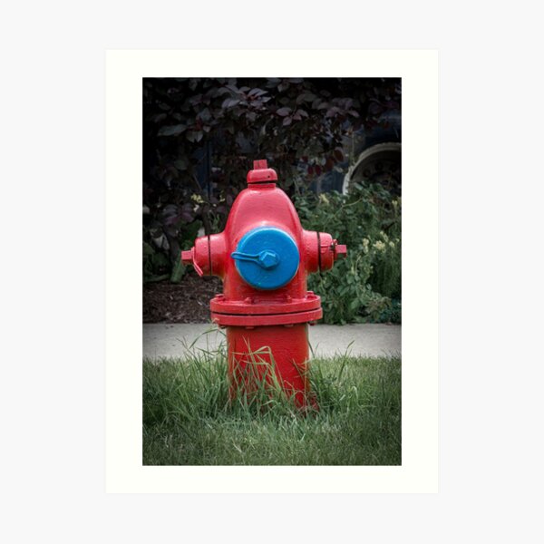 "Traverse City Iron Works Final Fire Hydrant" Art Print for Sale by ...