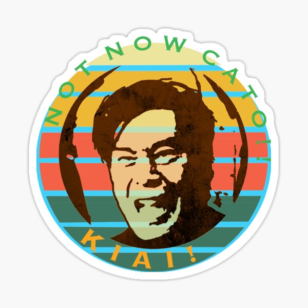 "Not Now Cato retro sun" Sticker for Sale by akatosensei | Redbubble