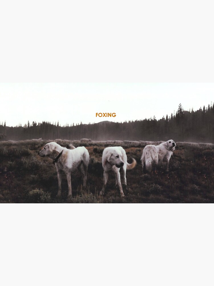 "FOXING- album artwork" Sticker for Sale by JessicaPippi | Redbubble