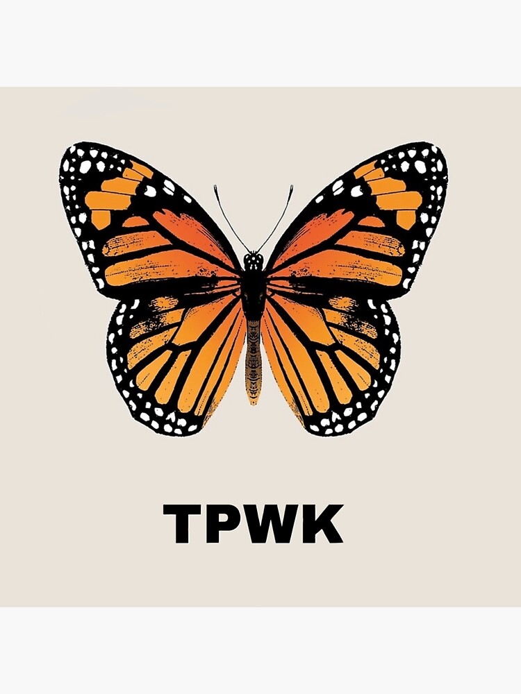"TPWK Butterfly" Poster by rosebethanie | Redbubble