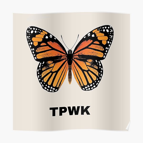 "TPWK Butterfly" Poster by rosebethanie | Redbubble