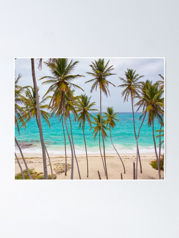 "palm tree summer beach" Poster by shirtmate | Redbubble