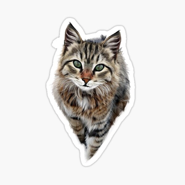 "Cute Cat Serious Face Gifts" Sticker for Sale by Barnissim | Redbubble
