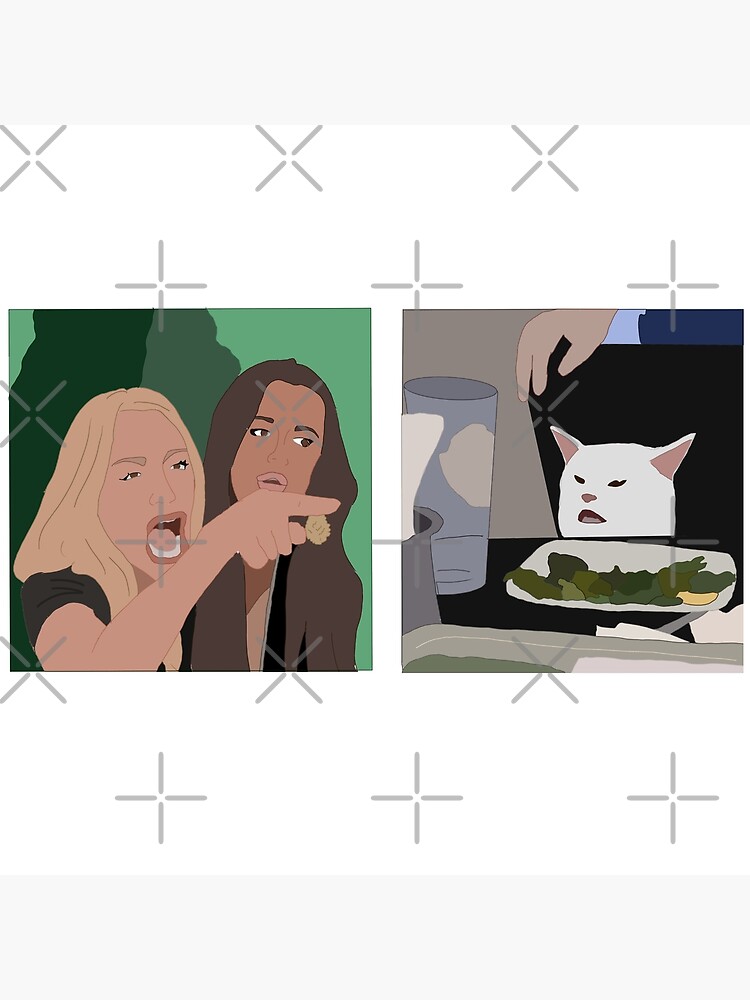 "Woman shouting at cat meme" Photographic Print for Sale by ...