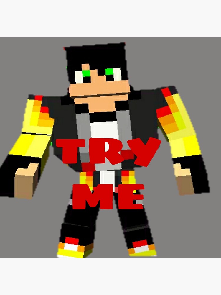 "minecraft boy" Canvas Print for Sale by Kiri-311 | Redbubble