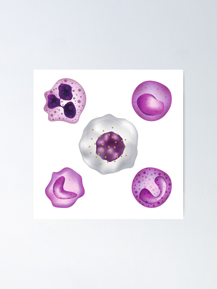 "White Blood Cells WBCs Pattern Monocytes" Poster for Sale by labstud ...