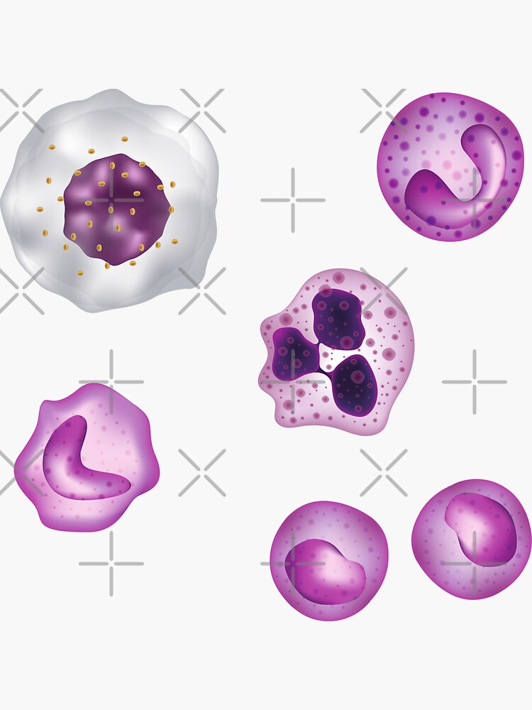"White Blood Cells WBCs Pattern Monocytes" Sticker for Sale by labstud ...