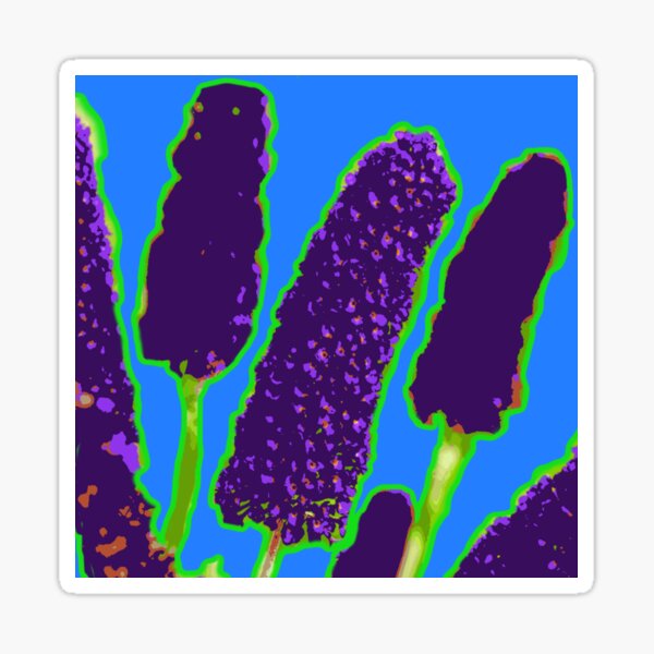 "Holy Moly Buddleia" Sticker for Sale by Frou-Frou- | Redbubble