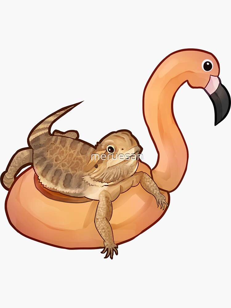"Cute Bearded Dragon" Sticker by meruesan | Redbubble