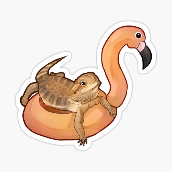 "Cute Bearded Dragon" Sticker by meruesan | Redbubble
