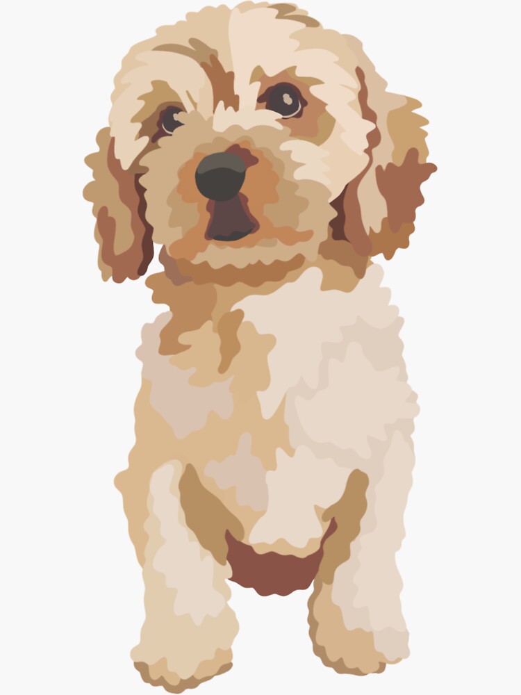 "Cavapoo Dog Portrait Digital Illustration" Sticker for Sale by ...