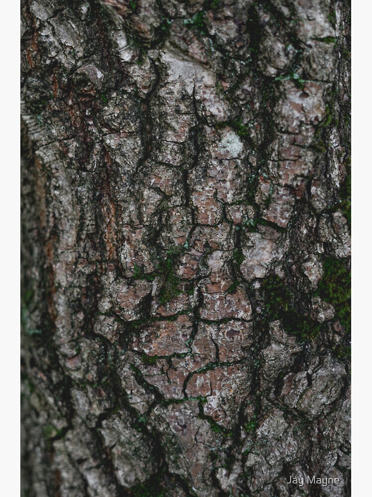 "Bark" Sticker for Sale by JayMayne | Redbubble