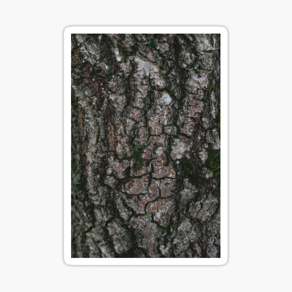 "Bark" Sticker for Sale by JayMayne | Redbubble