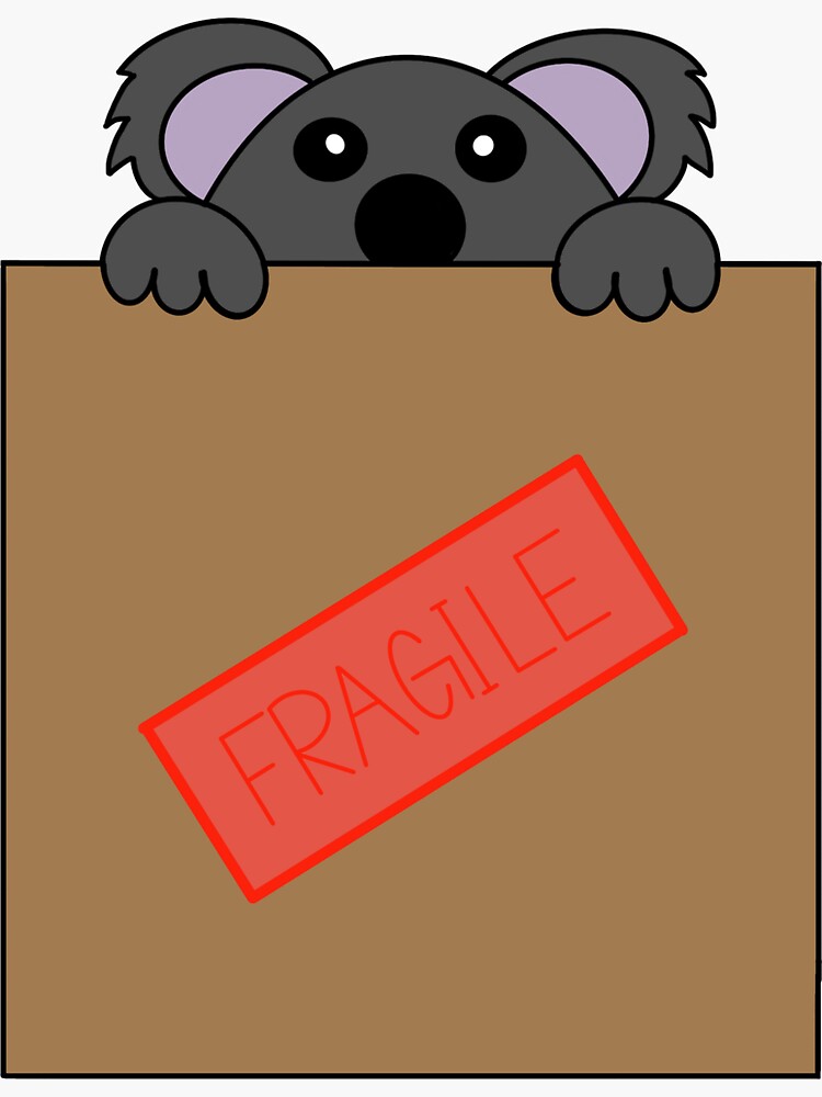 "Koala in a box" Sticker for Sale by sieraa | Redbubble