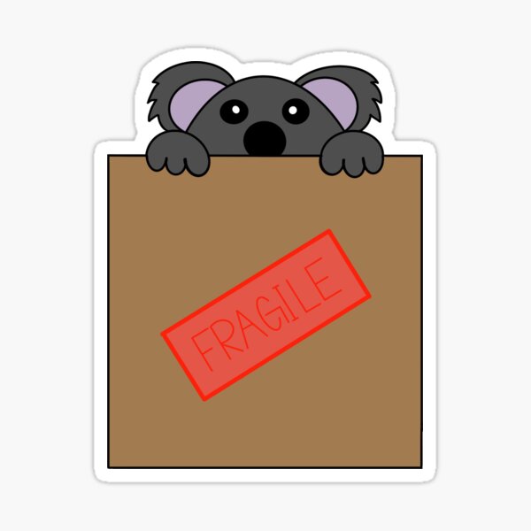 "Koala in a box" Sticker for Sale by sieraa | Redbubble
