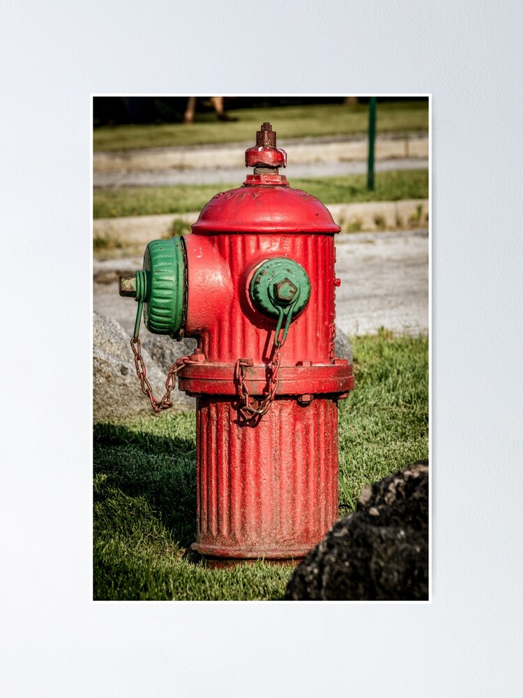 "Hydrant Profile" Poster for Sale by Enzwell | Redbubble