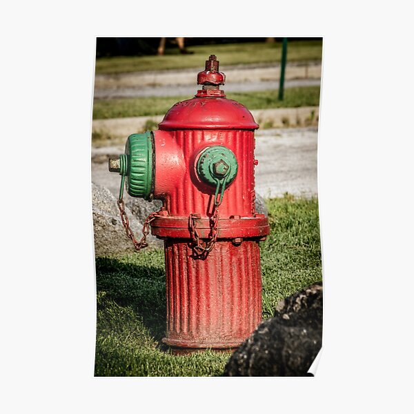 "Hydrant Profile" Poster for Sale by Enzwell | Redbubble