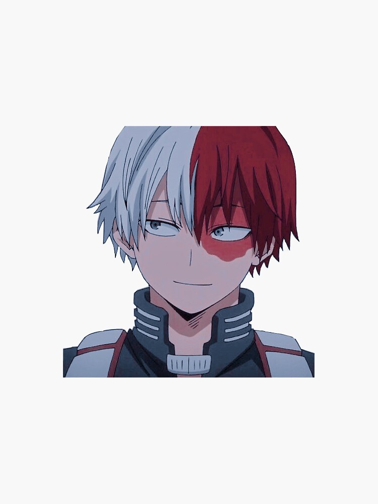 "Aesthetic Shoto Todoroki" Sticker by shotostickers | Redbubble