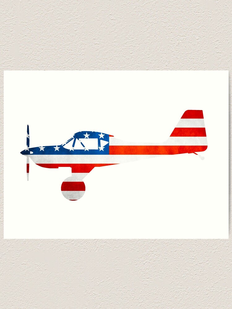 "KitFox American Flag" Art Print for Sale by Barnstormers | Redbubble