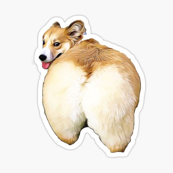 "Thicc Corgi" Sticker for Sale by Bailys-Designs | Redbubble
