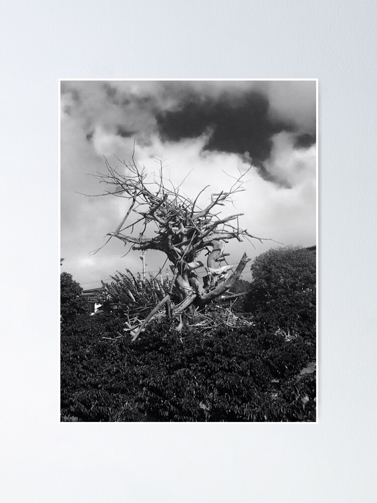 "Spooky Gothic Dead Tree " Poster by EmptyFigureHead | Redbubble