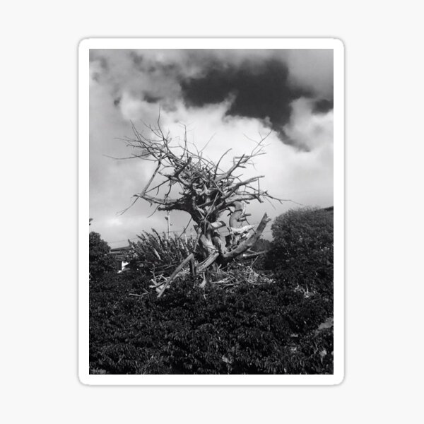 "Spooky Gothic Dead Tree " Sticker for Sale by EmptyFigureHead | Redbubble