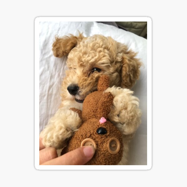 Chels Gifts & Merchandise for Sale | Redbubble