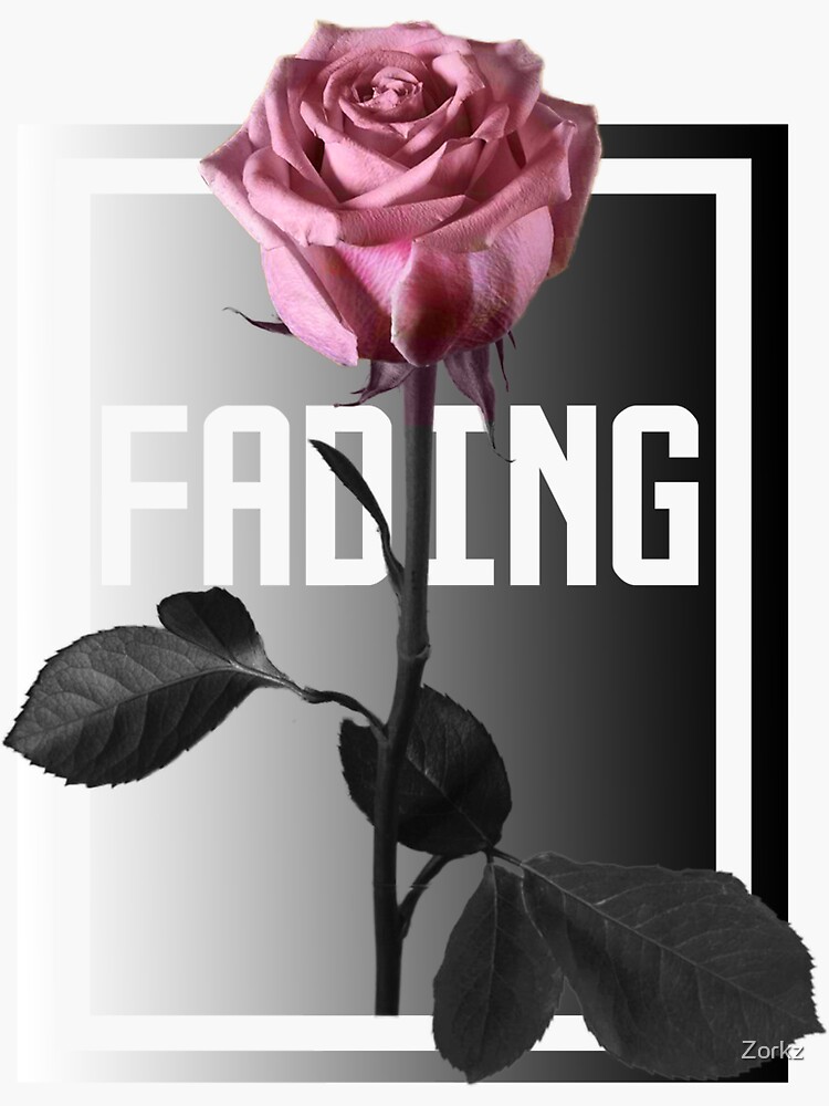"Fading" Sticker for Sale by Zorkz | Redbubble