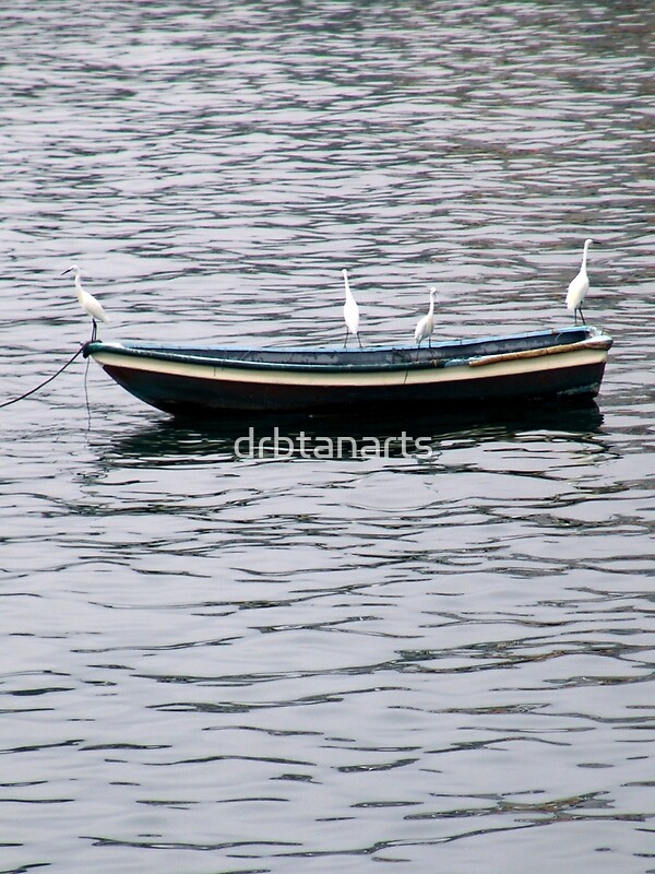 "Birds on watch on a boat" by Dentanarts | Redbubble