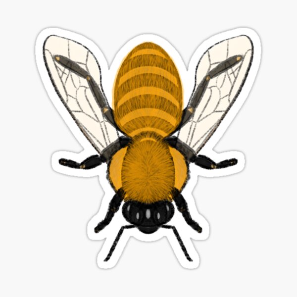 "Honey Bee (Semi-Realistic, Blue Background Version)" Sticker for Sale ...