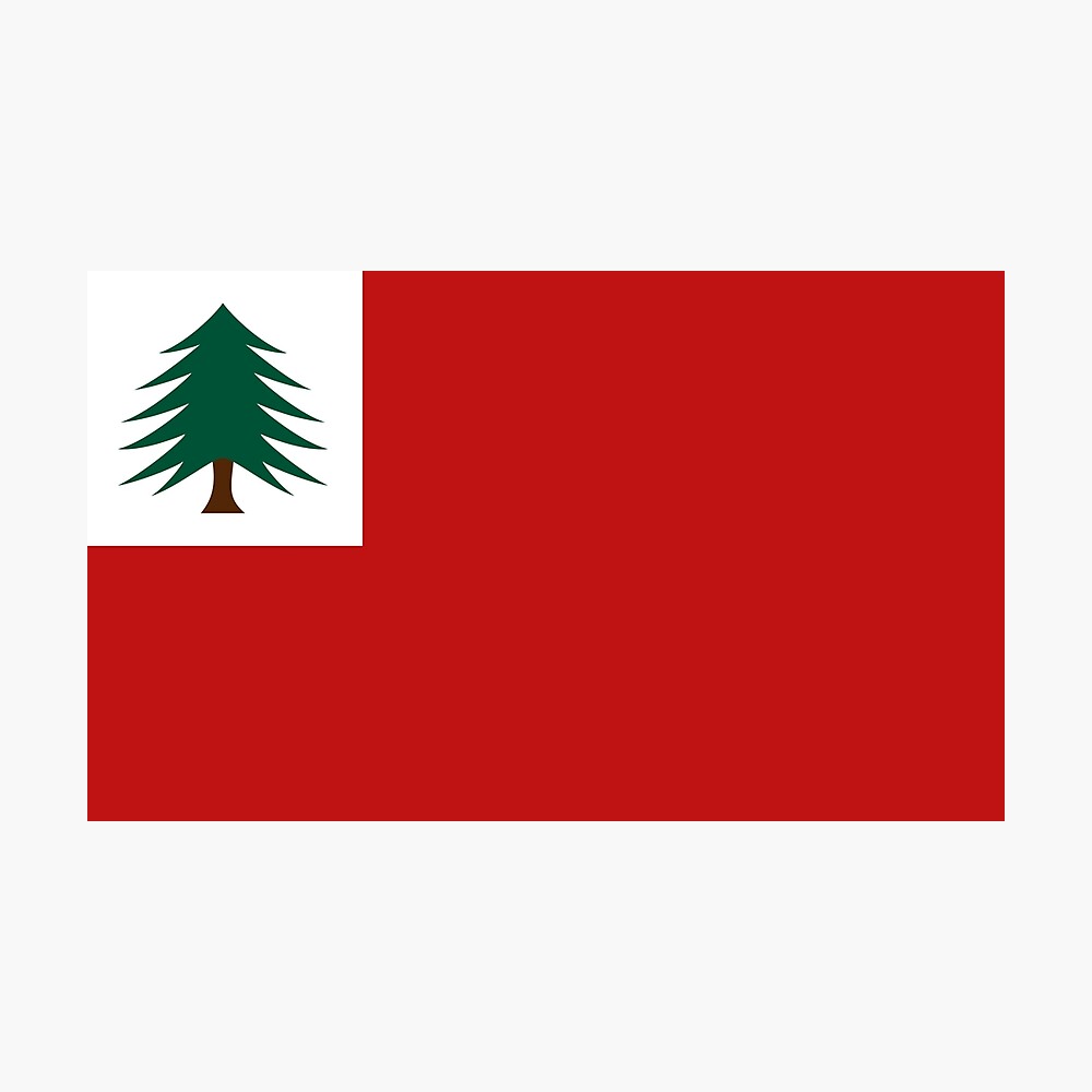 New England Colonies Flag
