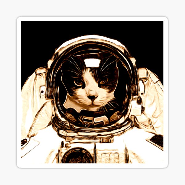 Astrocat Gifts & Merchandise for Sale | Redbubble