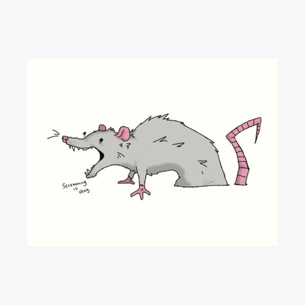 Screaming Opossum Wall Art | Redbubble