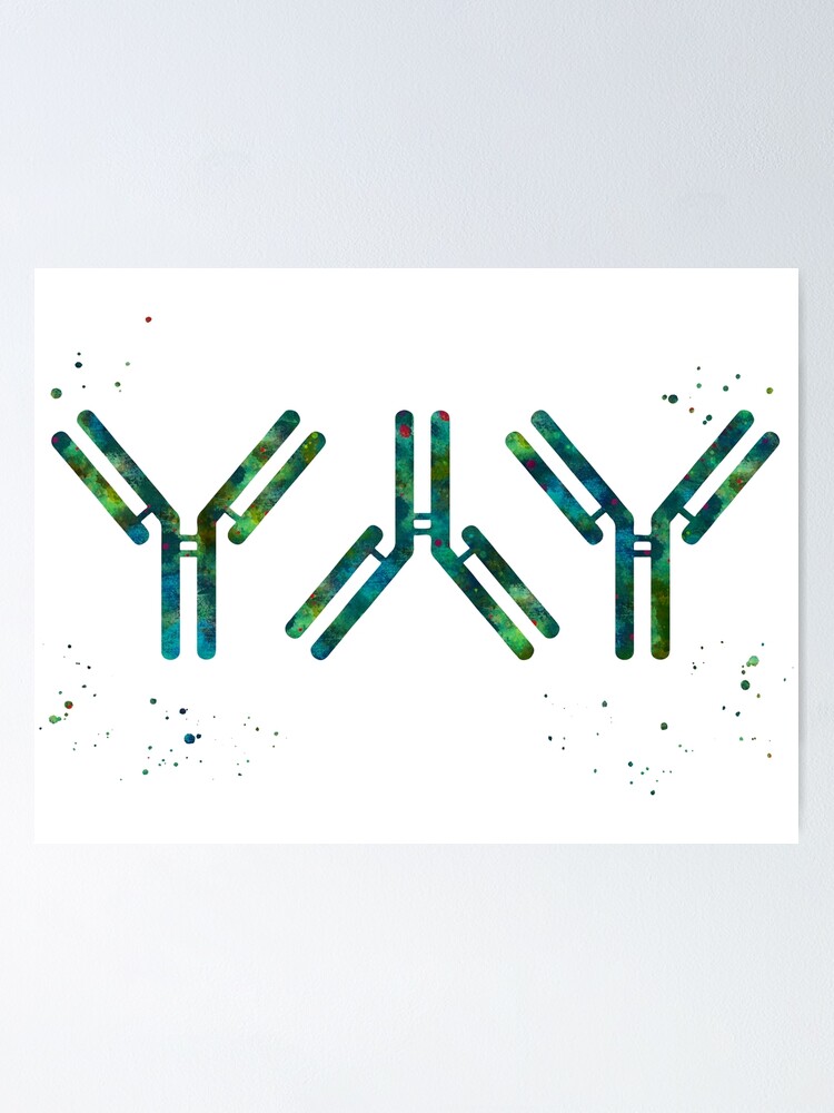 "Antibody Molecules" Poster by EvasDreams | Redbubble