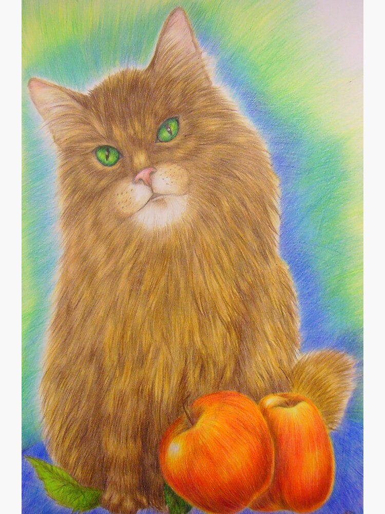 " Fluffy cat. Drawing with colored pencils." Sticker for Sale by ...
