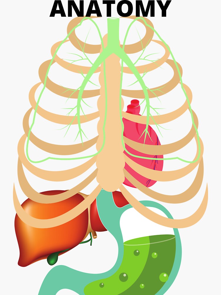 "explore our body" Sticker for Sale by boutiquemandi | Redbubble