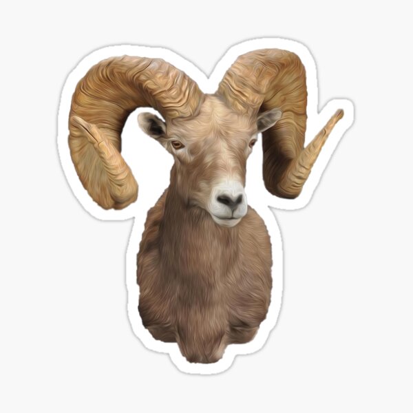large dall sheep sticker Stickers, Labels & Tags Paper Paper & Party ...