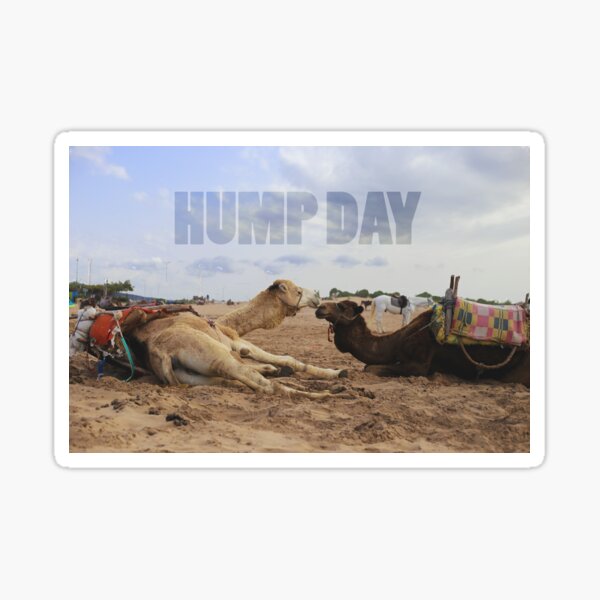 "HUMP DAY" Sticker for Sale by LiterallyMagic | Redbubble