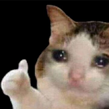 "Crying Cat Thumbs Up Meme" Art Print for Sale by cnon626 | Redbubble