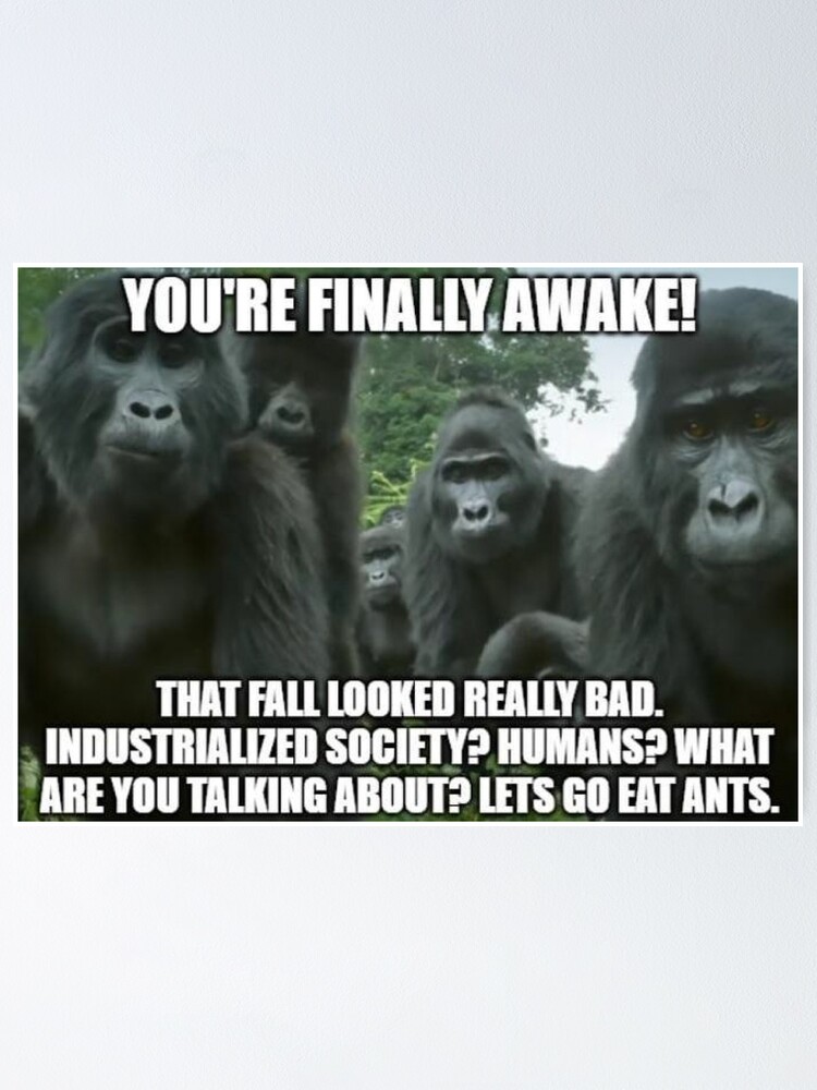 Who Still Awake Meme