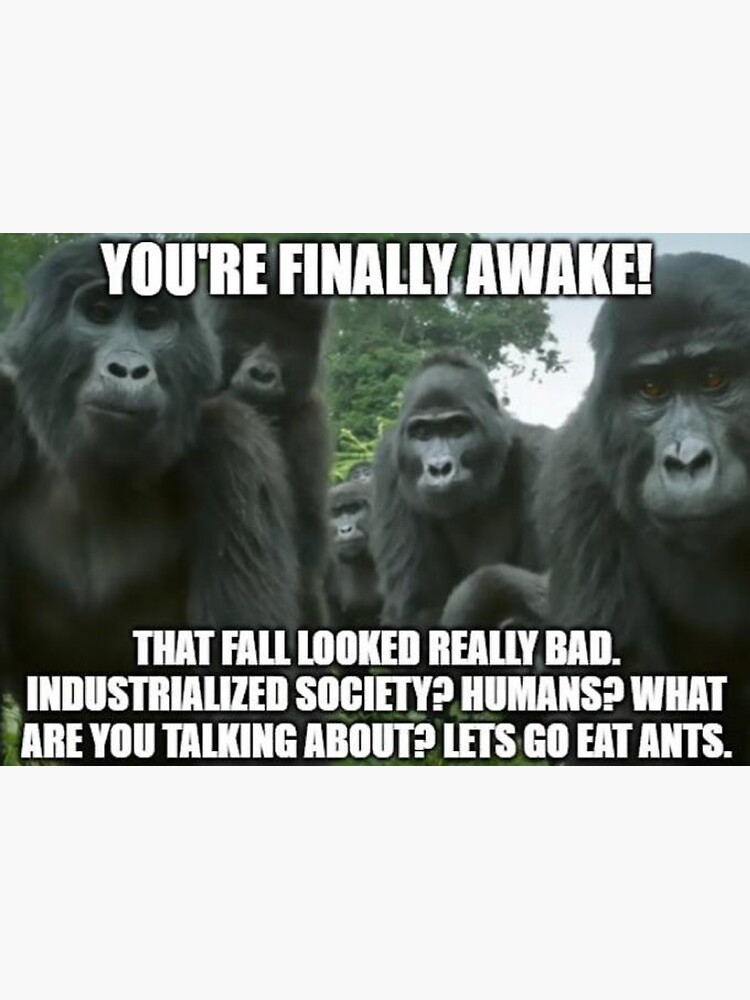 "You're Finally Awake Meme " Sticker for Sale by cnon626 | Redbubble