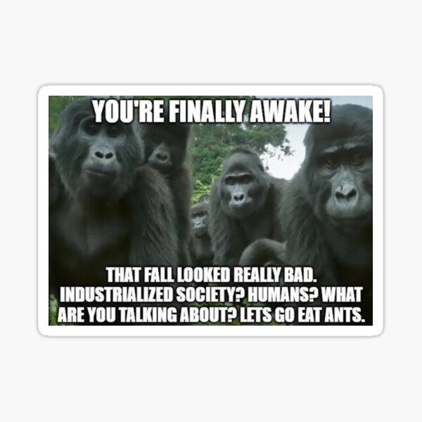 "You're Finally Awake Meme " Sticker for Sale by cnon626 | Redbubble